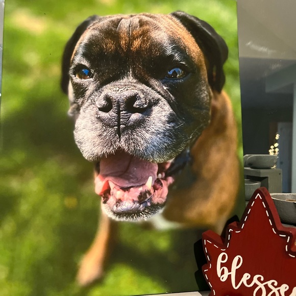 Other | Random Pulls | Poshmark